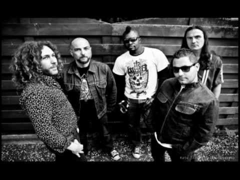 TOWEL DRY ( Deepshow )