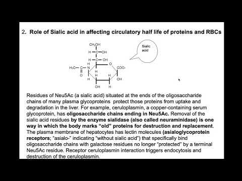 sugar code - YouTube