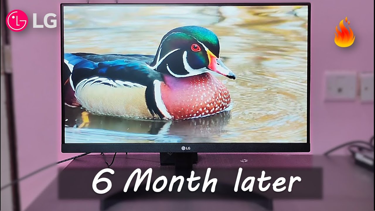 LG 21.5 inch Full HD led 22MK600M Monitor Review After 6 Months of ...