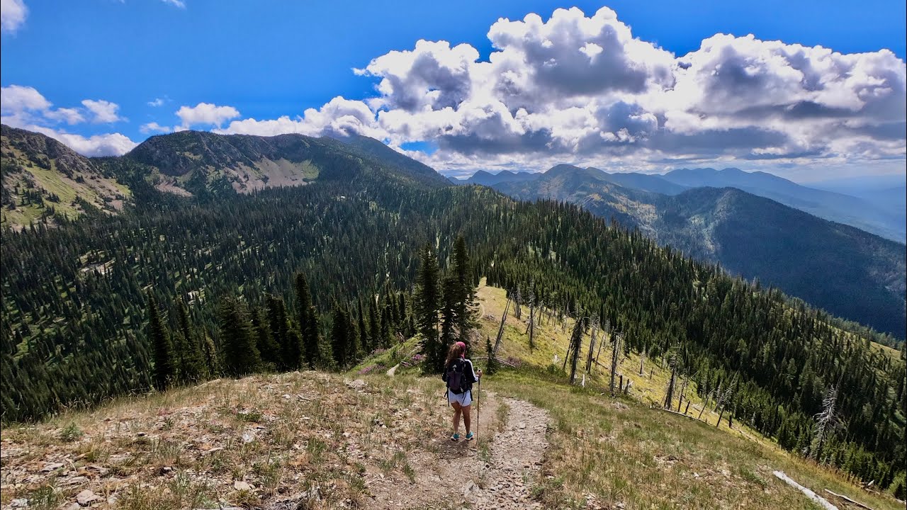 Flathead Lookout trail in Montana's Flathead National Forest in 4K ...