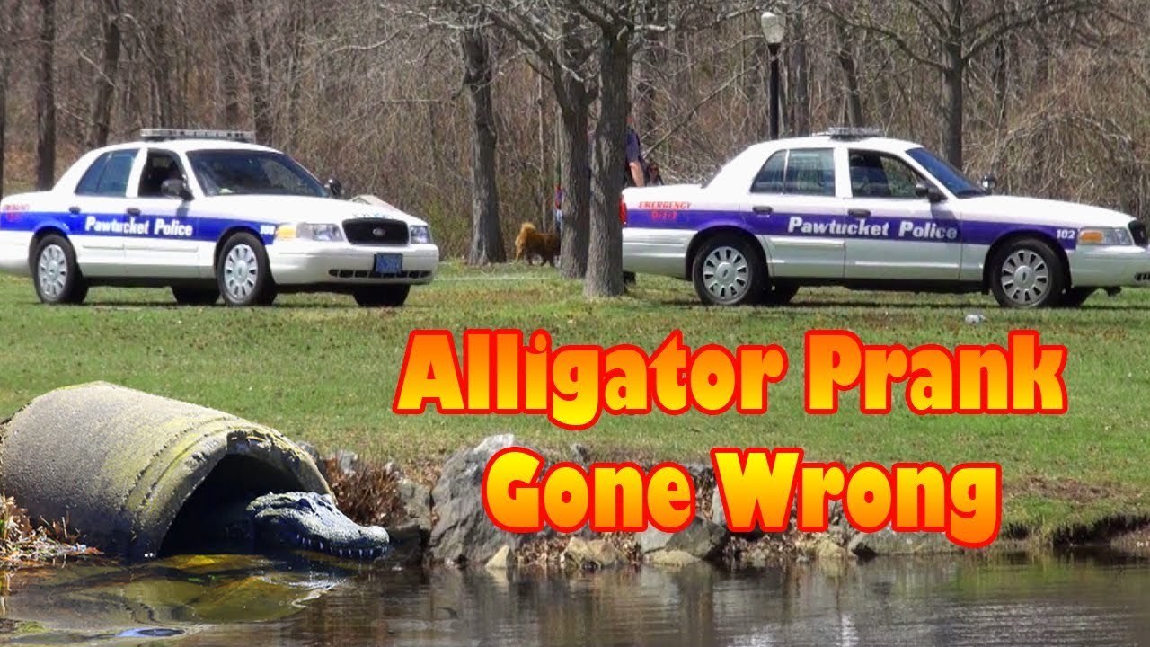 Alligator Prank On Cops!!! - YouTube