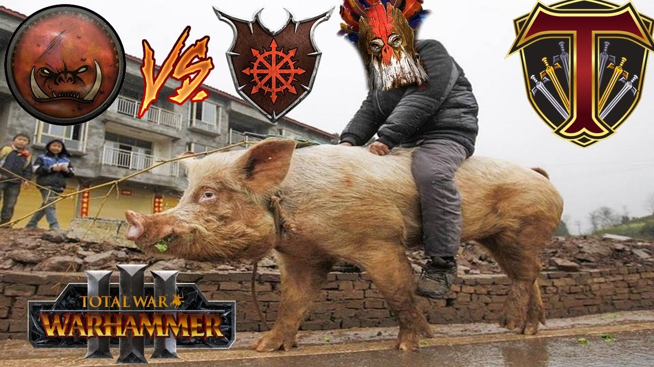 HOGS BATTLE DEMONS | Greenskins vs Demons of Chaos - Total War ...