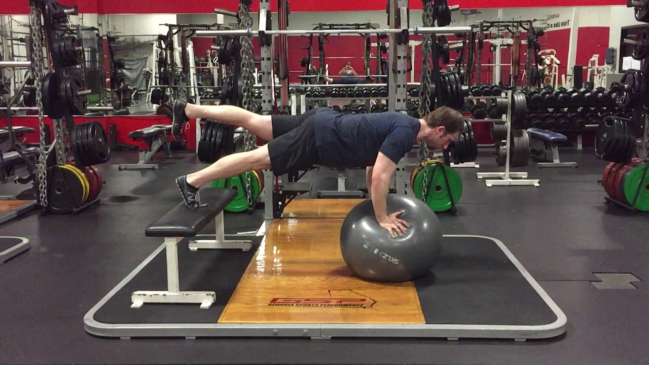 Single Leg Stability Ball Ab Rollouts from Plank - YouTube