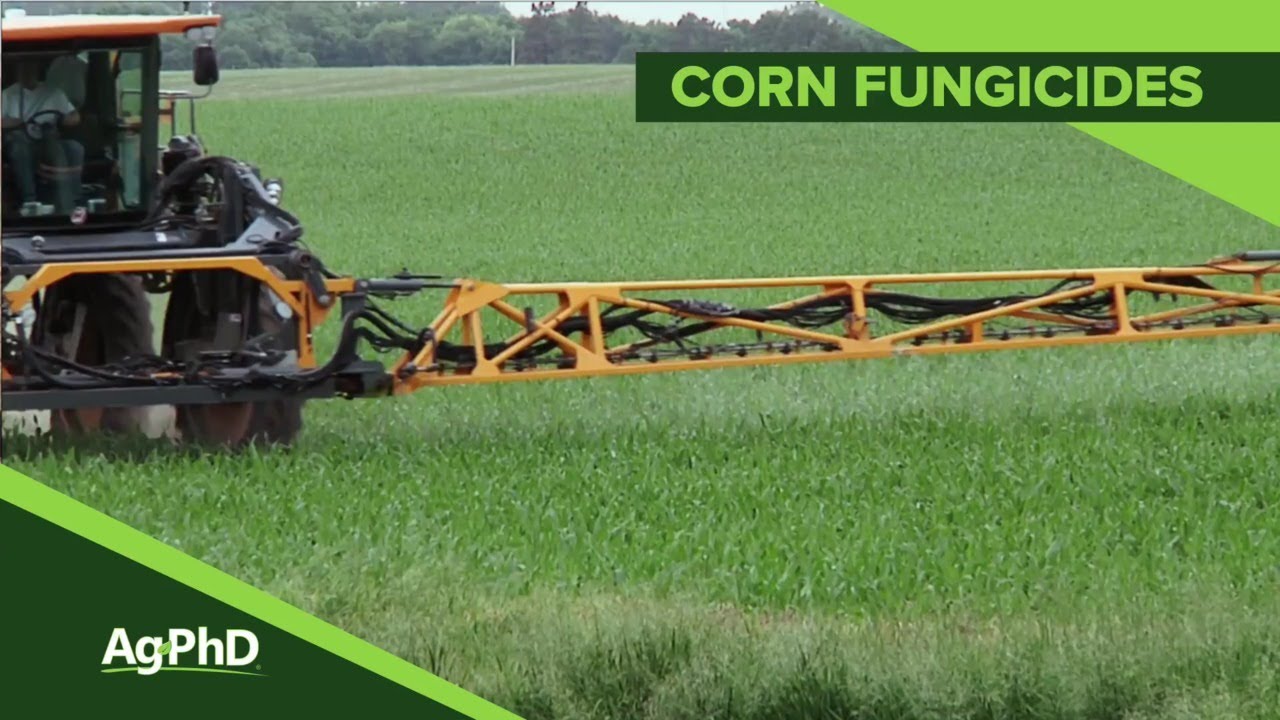 Corn Fungicides (From Ag PhD Show #1104 - Air Date 6-2-19) - YouTube