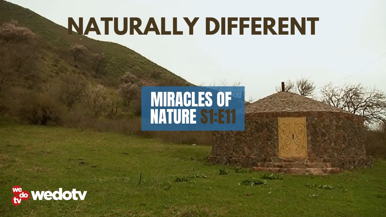 Naturally Different | Miracles of Nature S1/E11 | wedotv - YouTube