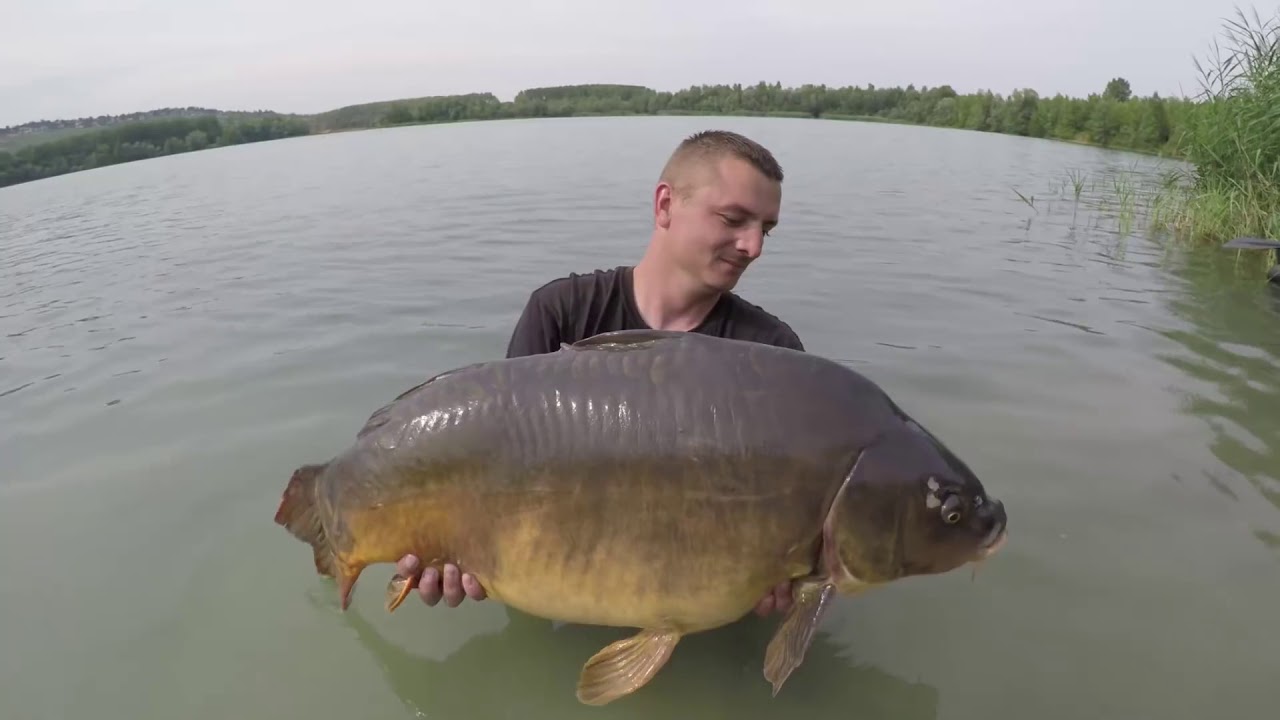 CARPE EXPEDITION vol 3 Week end Seine et Yonne - YouTube