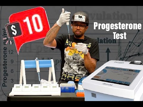 Wondfo FineCare Vet Progesterone Machine - How To Run At Home ...