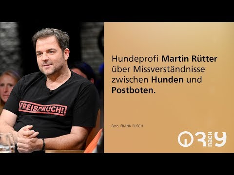 Martin Rütter über Missverständnisse zwischen Mensch und Hund // 3nach9