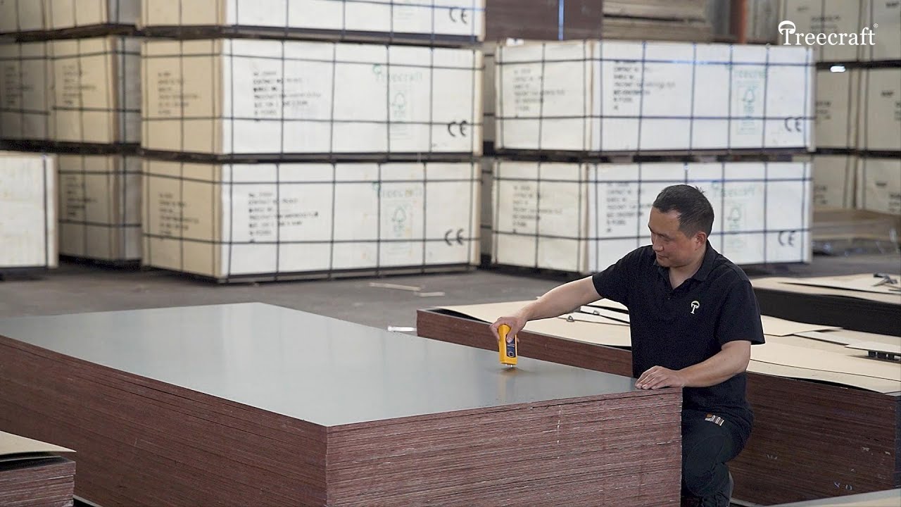 The Journey of our Plywood_Treecraft - YouTube