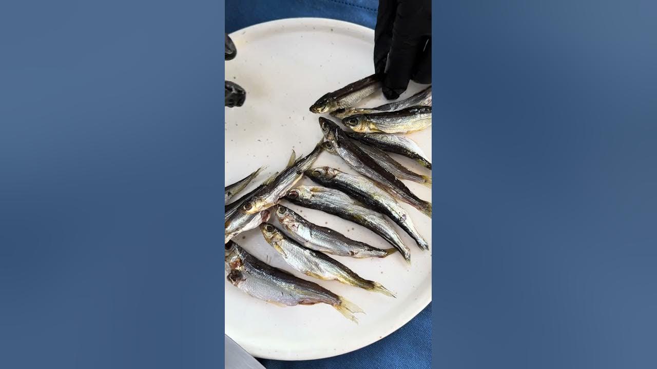 Тугунок вяленый🐟 - YouTube