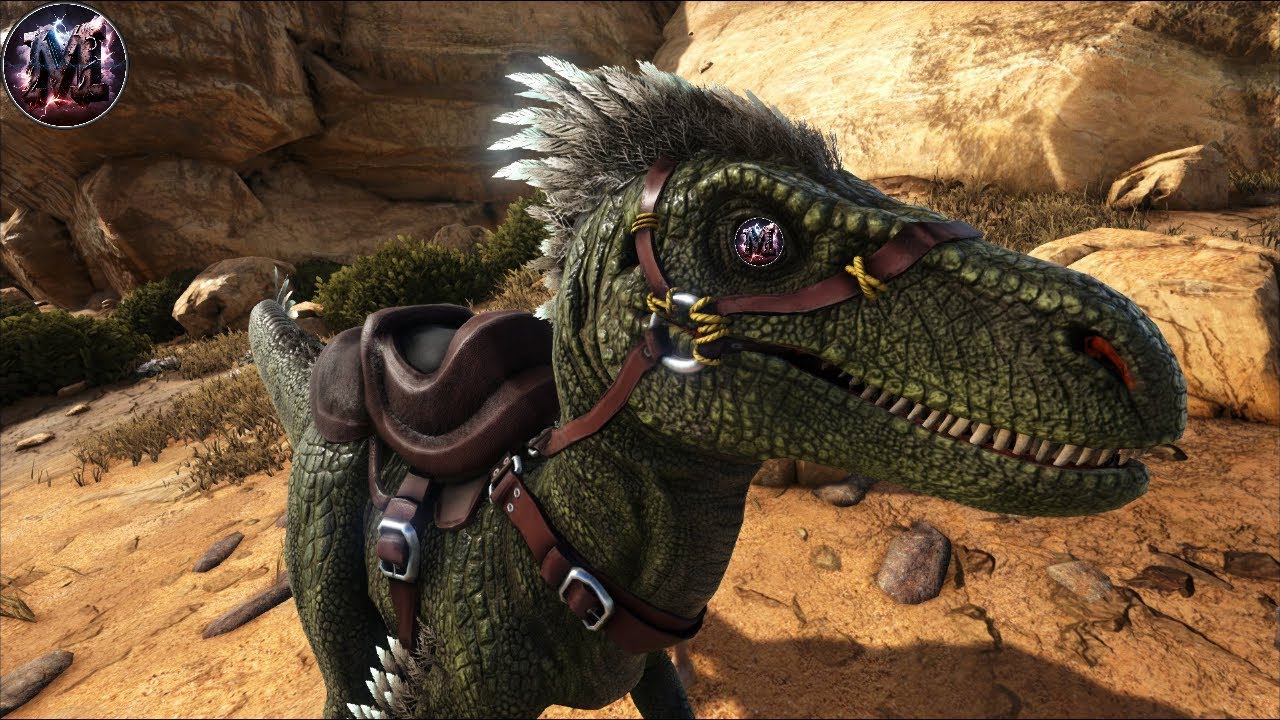 RAPTOR EVCİLLEŞTİRME I ARK SURVİVAL EVOLVED TÜRKÇE SCORCHED EARTH I B2 ...