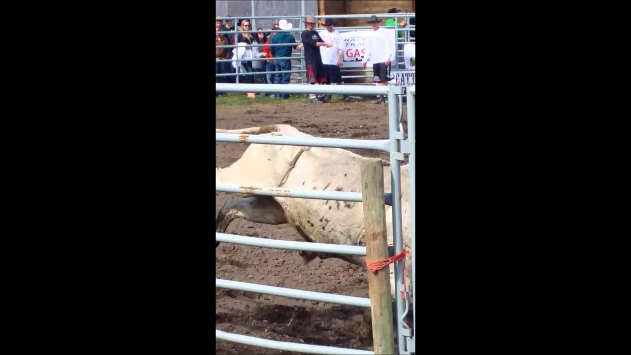 Bull O Rama Highlights reel Vernon BC 2014 - YouTube