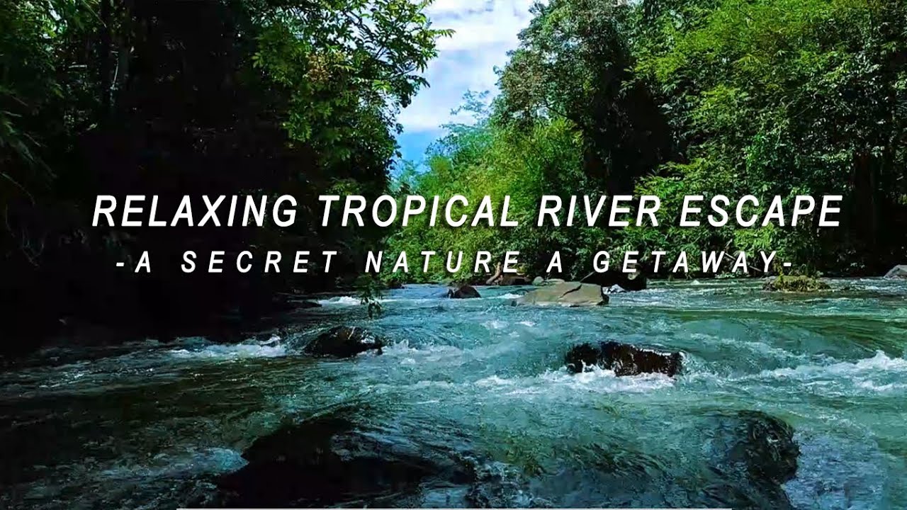 Relaxing Tropical River Escape – A Secret Nature Getaway - YouTube