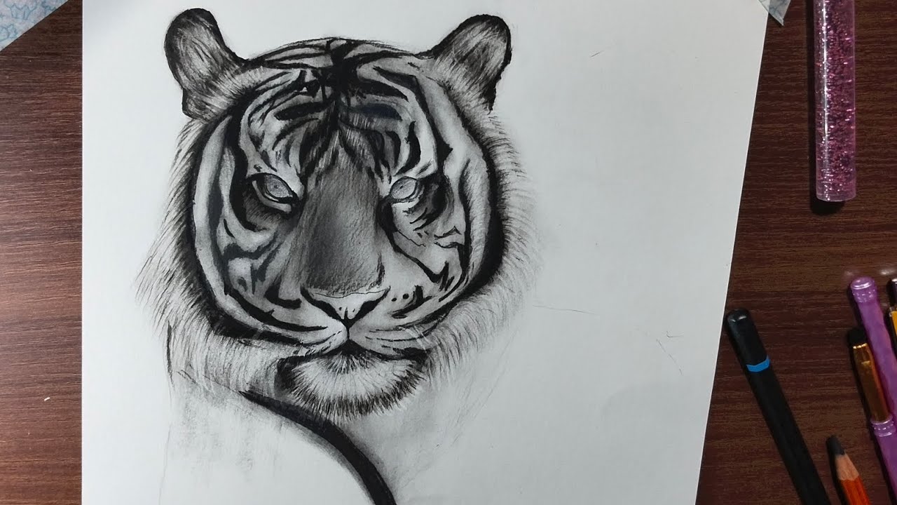 Hiper realistic tiger 🐅🐯 drawing ll Timelapse - YouTube
