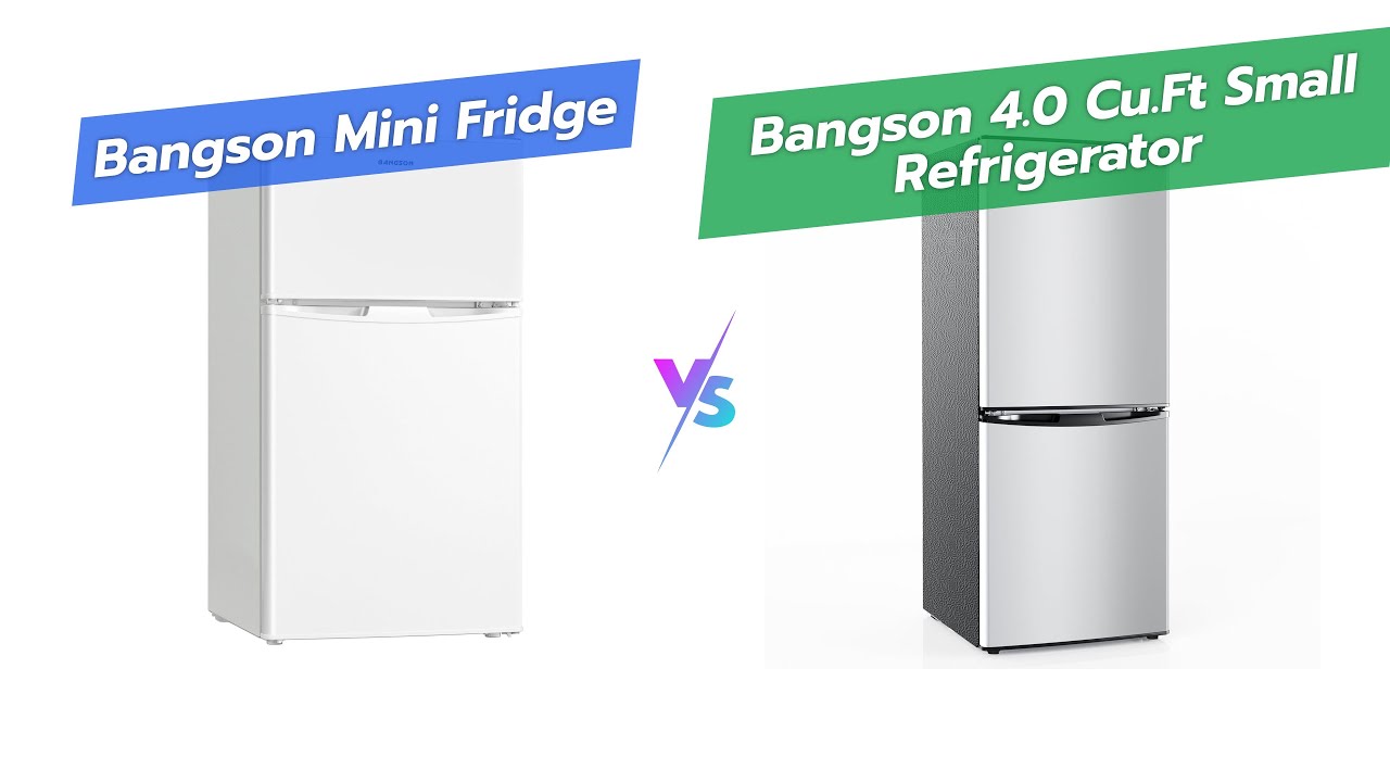 🆚 BANGSON Mini Fridge vs Bottom Freezer Fridge! 🥶 - YouTube