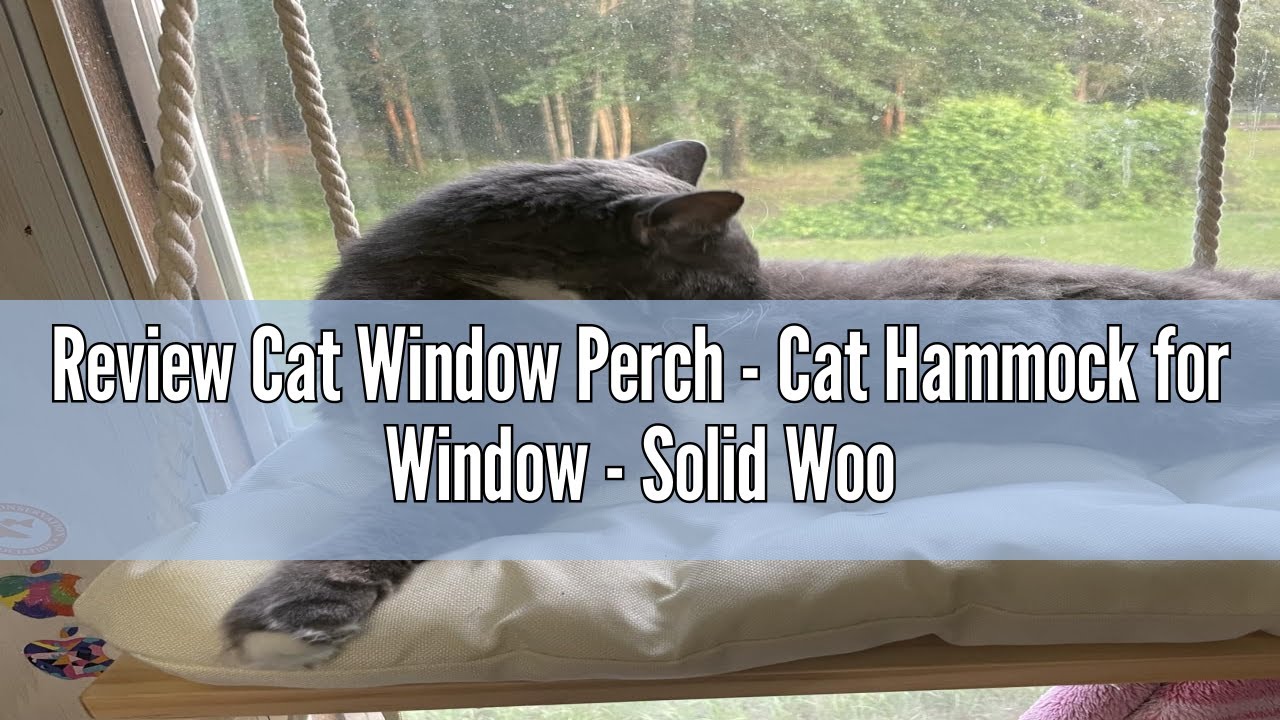 Review Cat Window Perch - Cat Hammock for Window - Solid Wood Seat ...