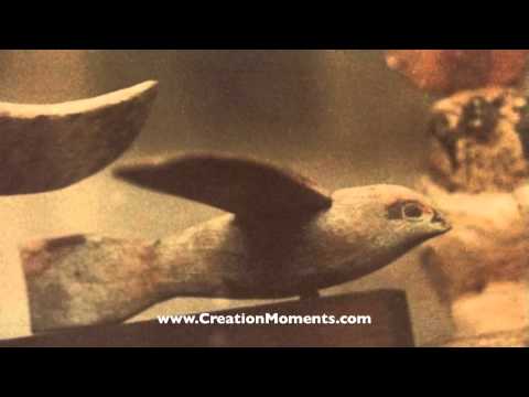 Airplane From Ancient Egypt