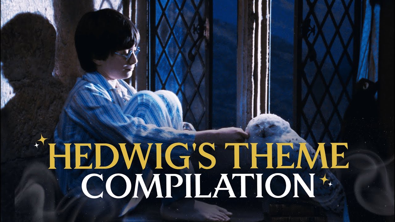 Every Time Hedwig's Theme Plays | Compilation | Harry Potter - YouTube