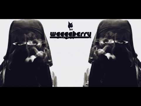 Herkesin Aradığı O şarkı BÖ - Waqqaberry Remix