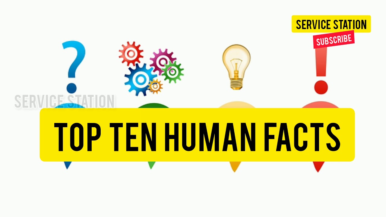 Funny Facts About Humans Did You Know These Facts funny facts funny-facts-about-humans-did-you-know-these-facts-funny-facts