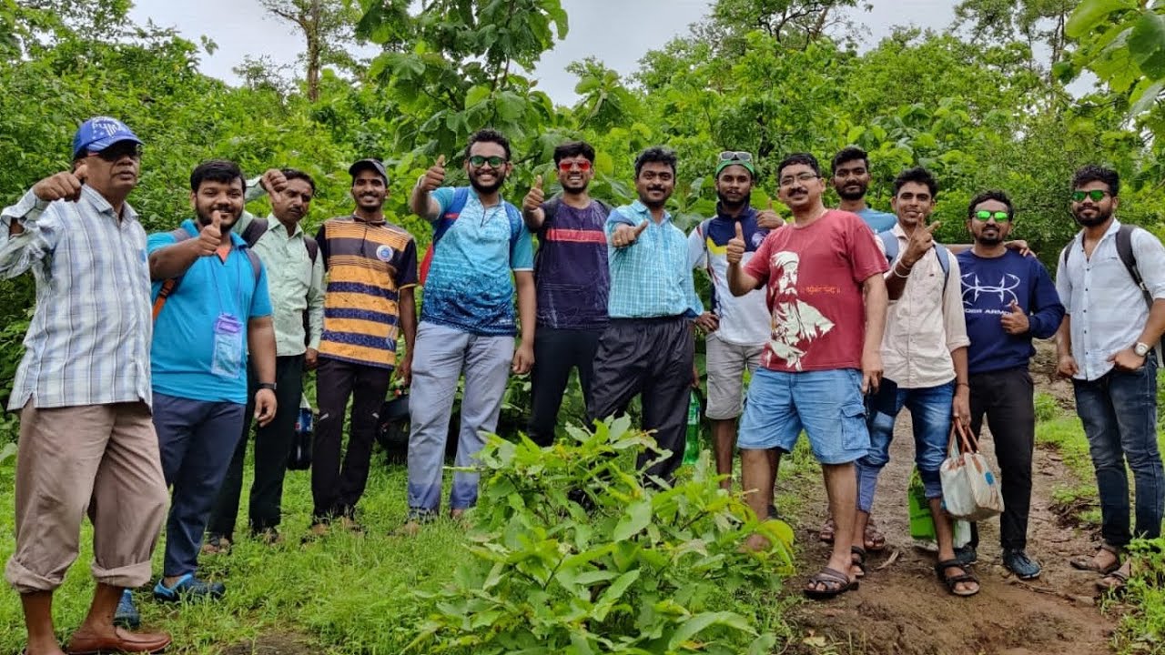 Akoli WaterFall near NAGZARI #waterfall #boisar #palghar #somuchfun ...
