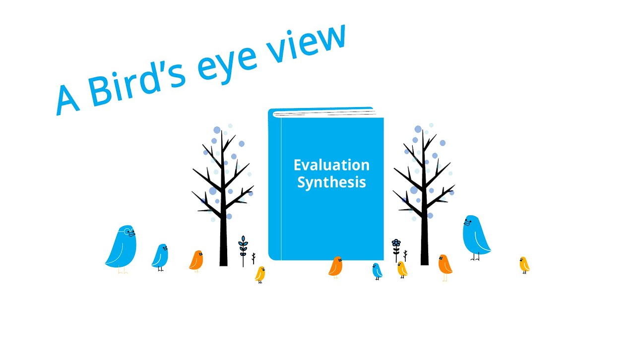 What Is an Evaluation Synthesis? A Simple Explanation - YouTube