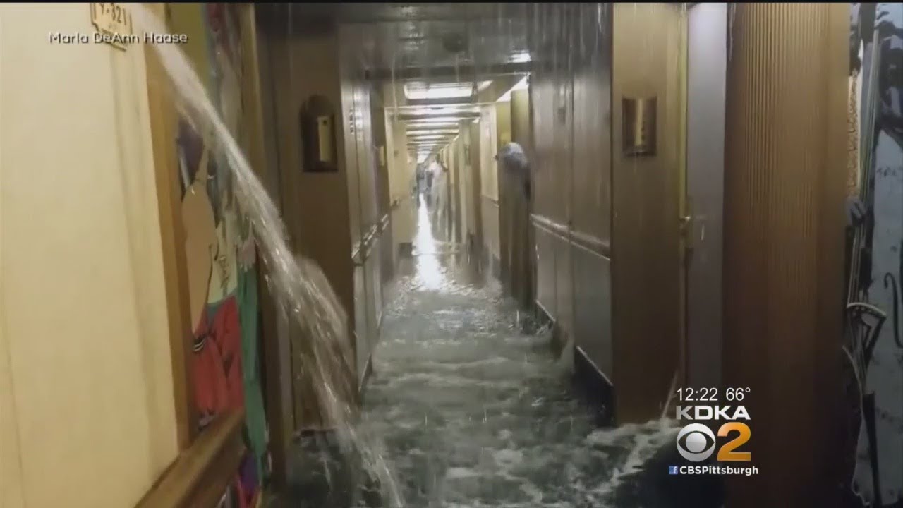 100 Guests Affected As Water Line Break Floods Carnival Cruise Rooms ...