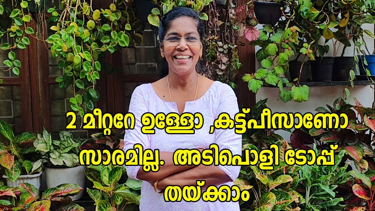 തയ്ക്കാൻ അറിയാമോ.ചിലവു കുറച്ച് സ്മാർട്ട് കുർത്തി.Elegant Kurti from 2 ...