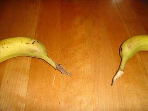 Banana Fight ! - YouTube