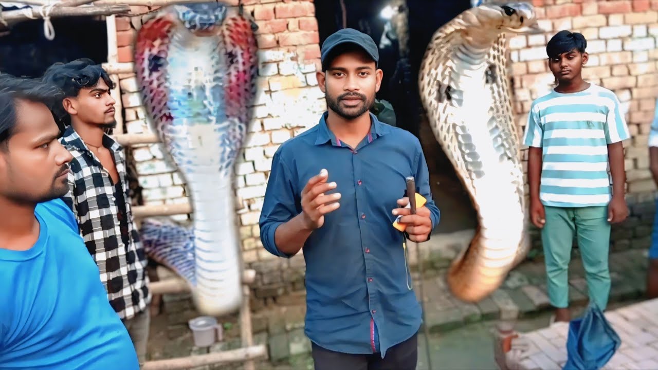 🐍😱ज़िला देवरिया के सकतुई ग्राम में रेस्क्यू हुआ गुस्सैल नाग,🐍 Ali snake ...