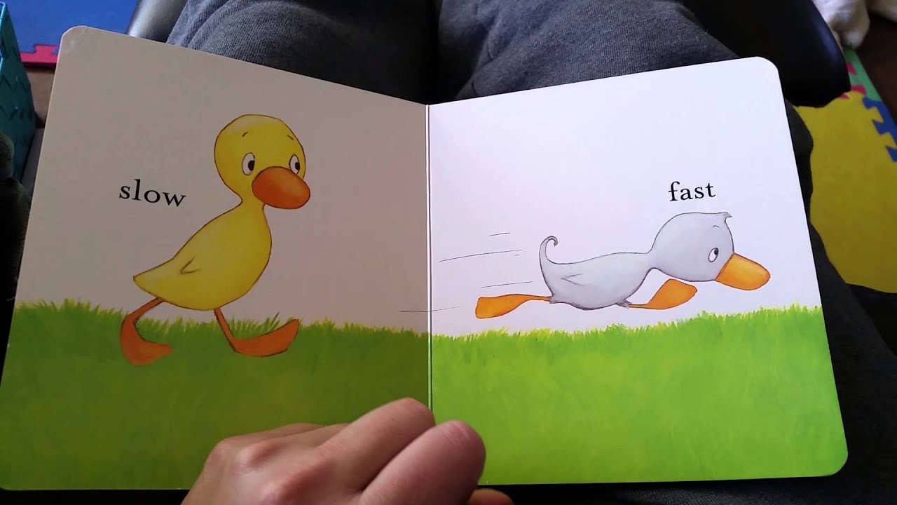 What's up, Duck? A Book of Opposites - YouTube