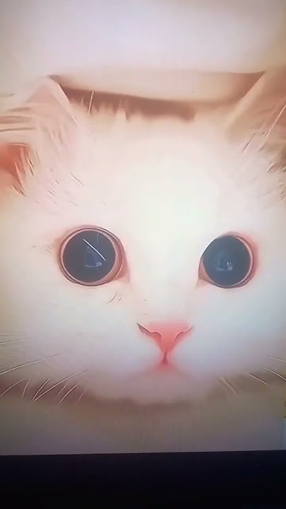 милый котик 🥰 Youtube