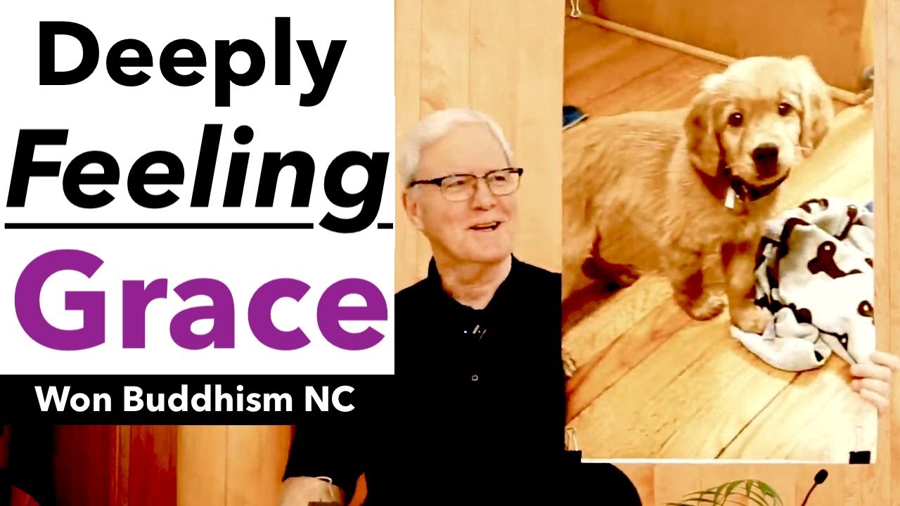 On the Importance of Deeply Feeling Grace - YouTube