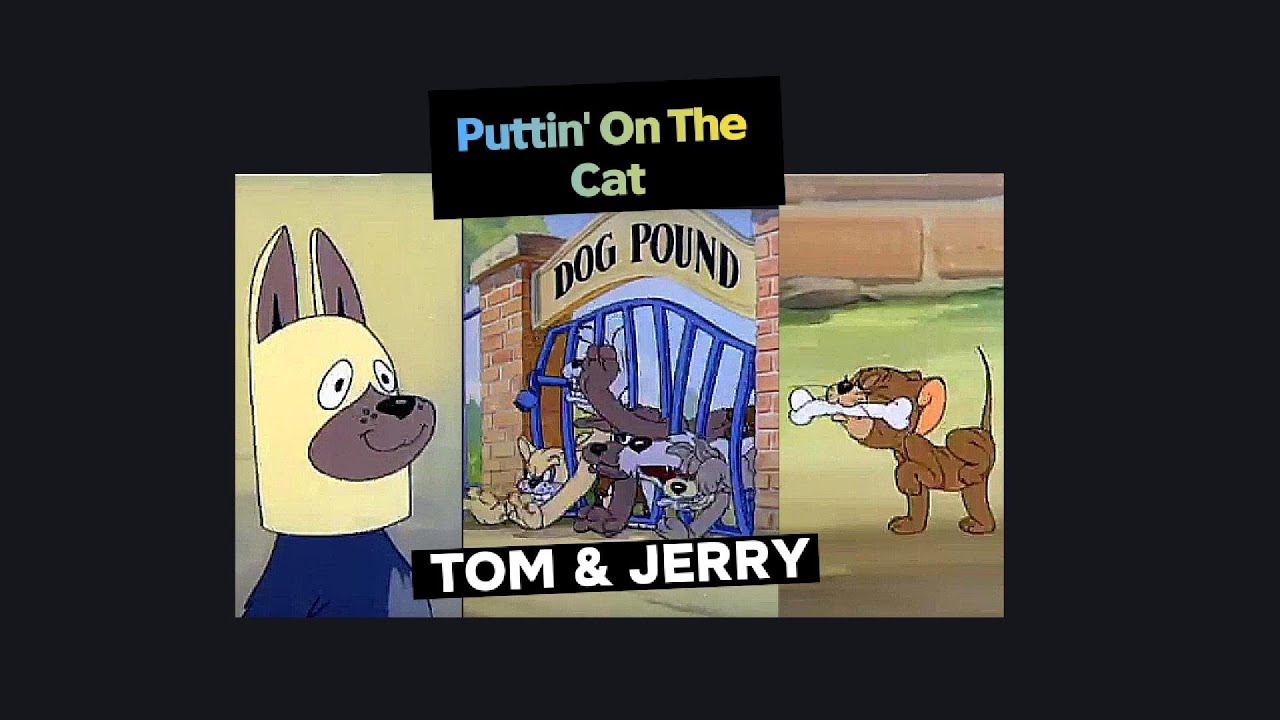 Tom and jerry, Puttin' On The Dog | part 1 | tom and jerry cartoon ...