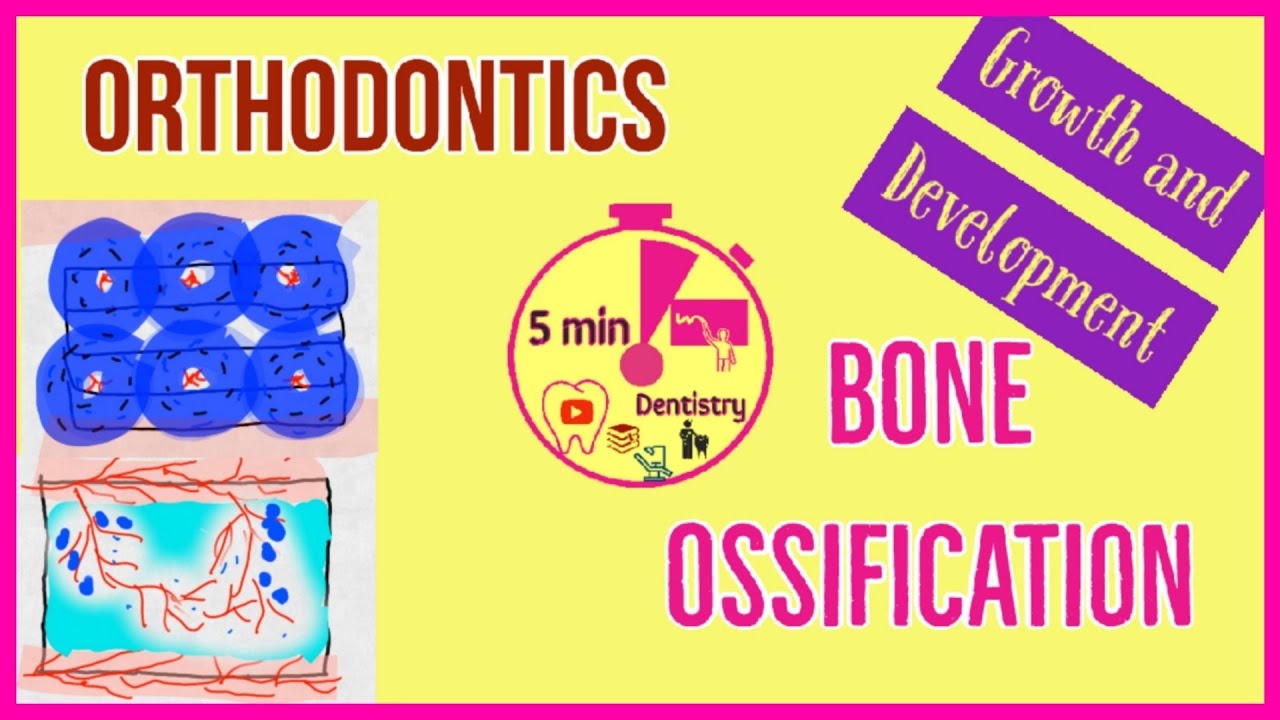 ORTHODONTICS | GROWTH AND DEVELOPMENT | BONE OSSIFICATION | easy dental ...