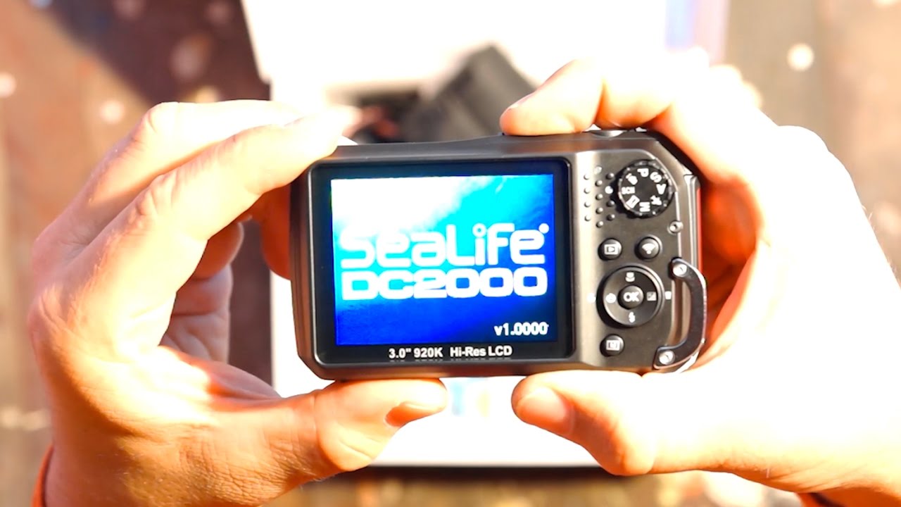 Sealife DC2000 - first look - YouTube