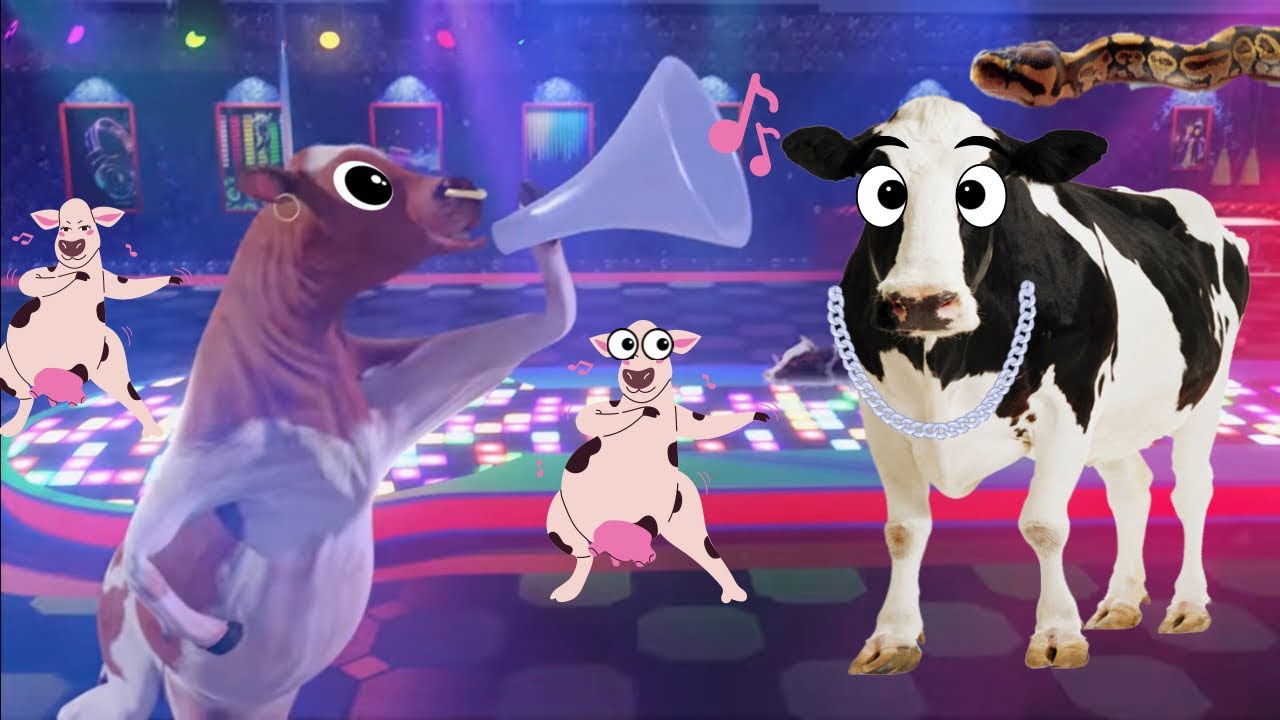Funny cow dance!cow sound and cow video2023!Cow dance!funny cow!funny ...