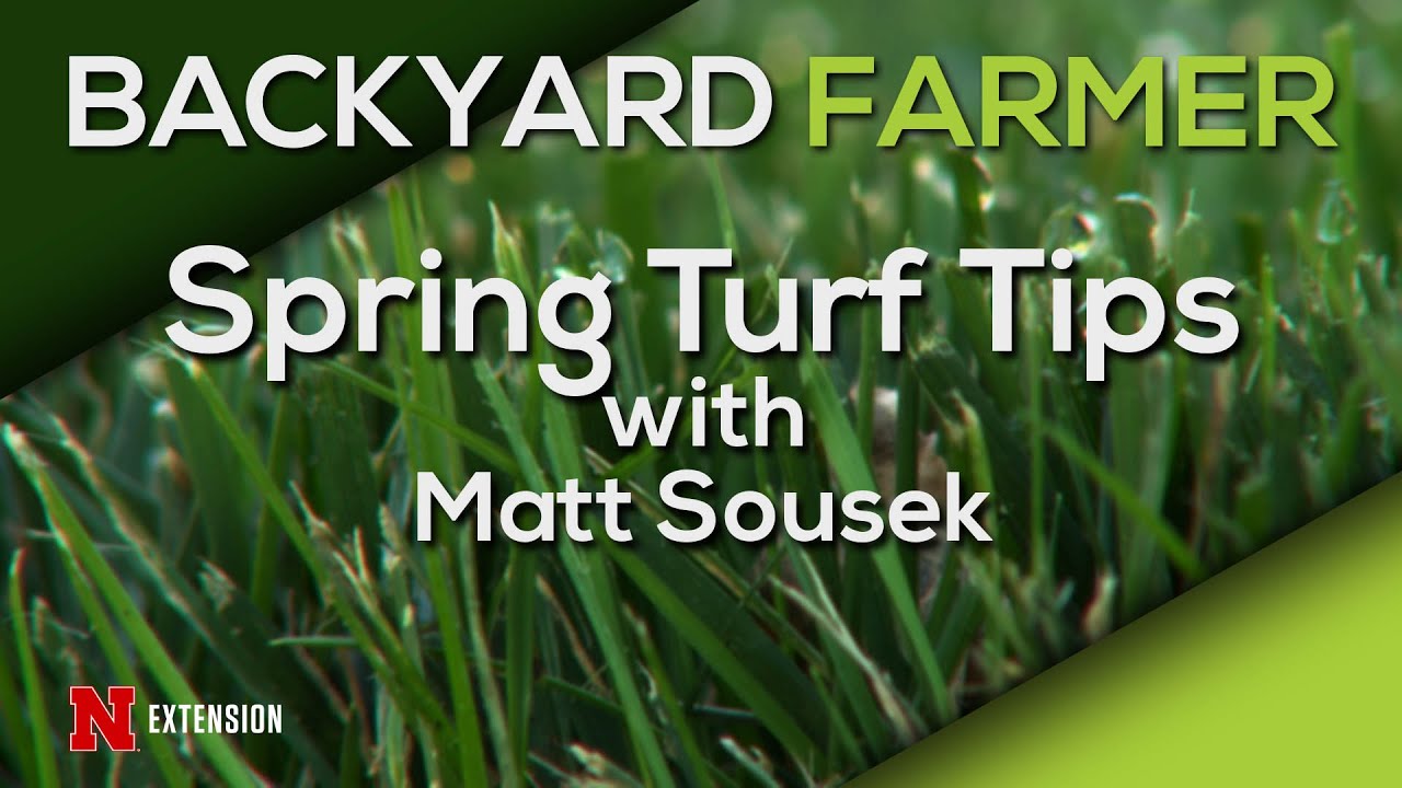 Spring Turf Tips - YouTube