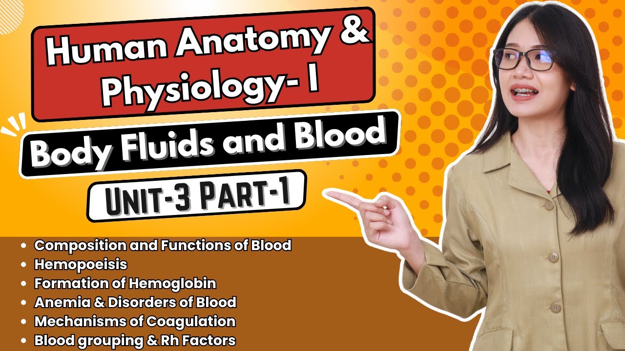 Human Anatomy & Physiology-1 | Unit-3 Part-1 | Body fluids and blood ...