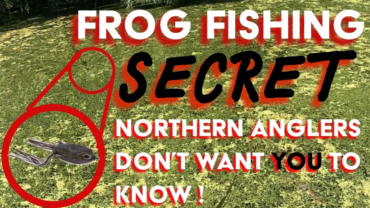 Do Northern Anglers Know How to Find Frog Fish Faster than You? - YouTube