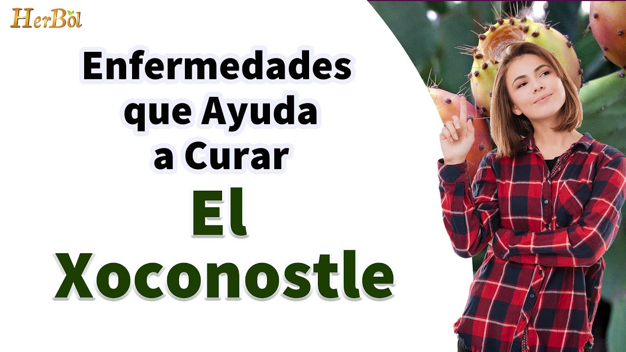 10 Beneficios del Xoconostle para que Sirve y que Enfermedades Cura ...