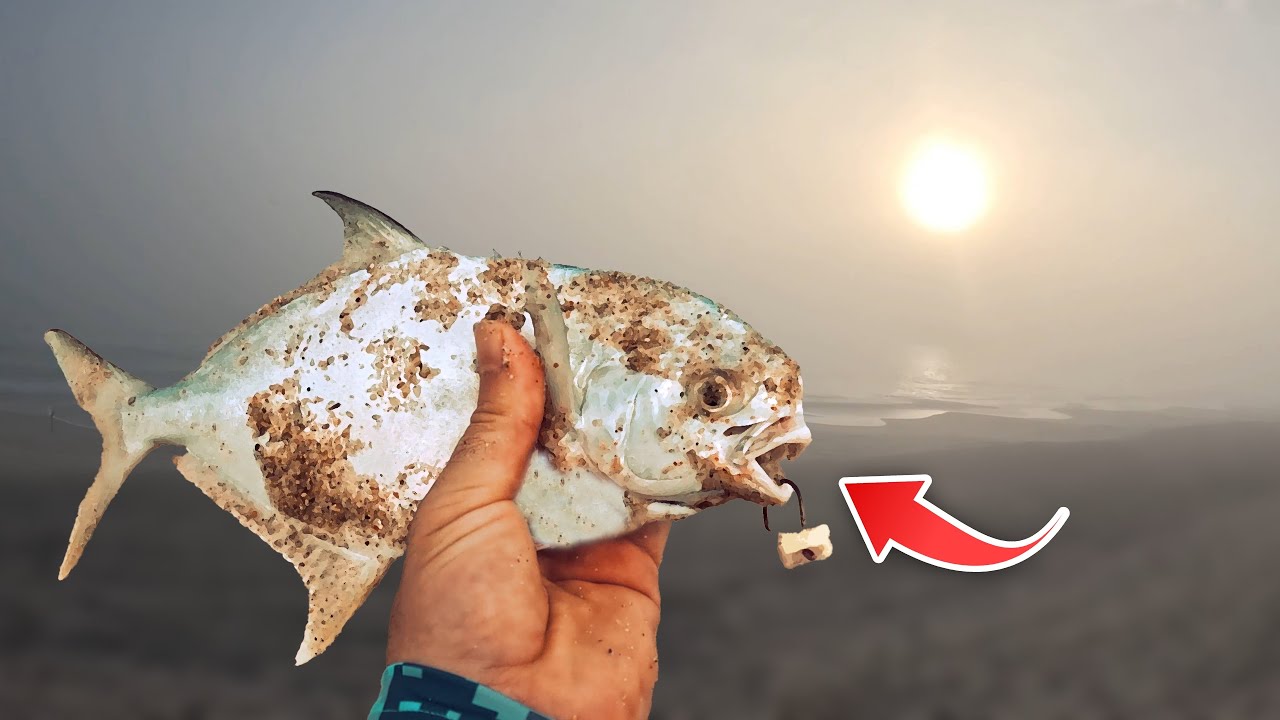 BEST Surf Fishing in THICK FOG! Catching Fish Every Cast Florida Beach ...