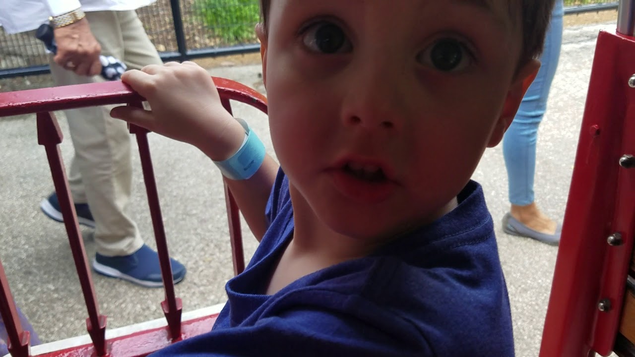 St. Louis Zoo - Round Trip on the Zooline Railroad - YouTube