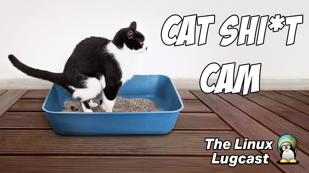 Cat Sh*T Cam - Lugcast Clips Ep. 239 - YouTube