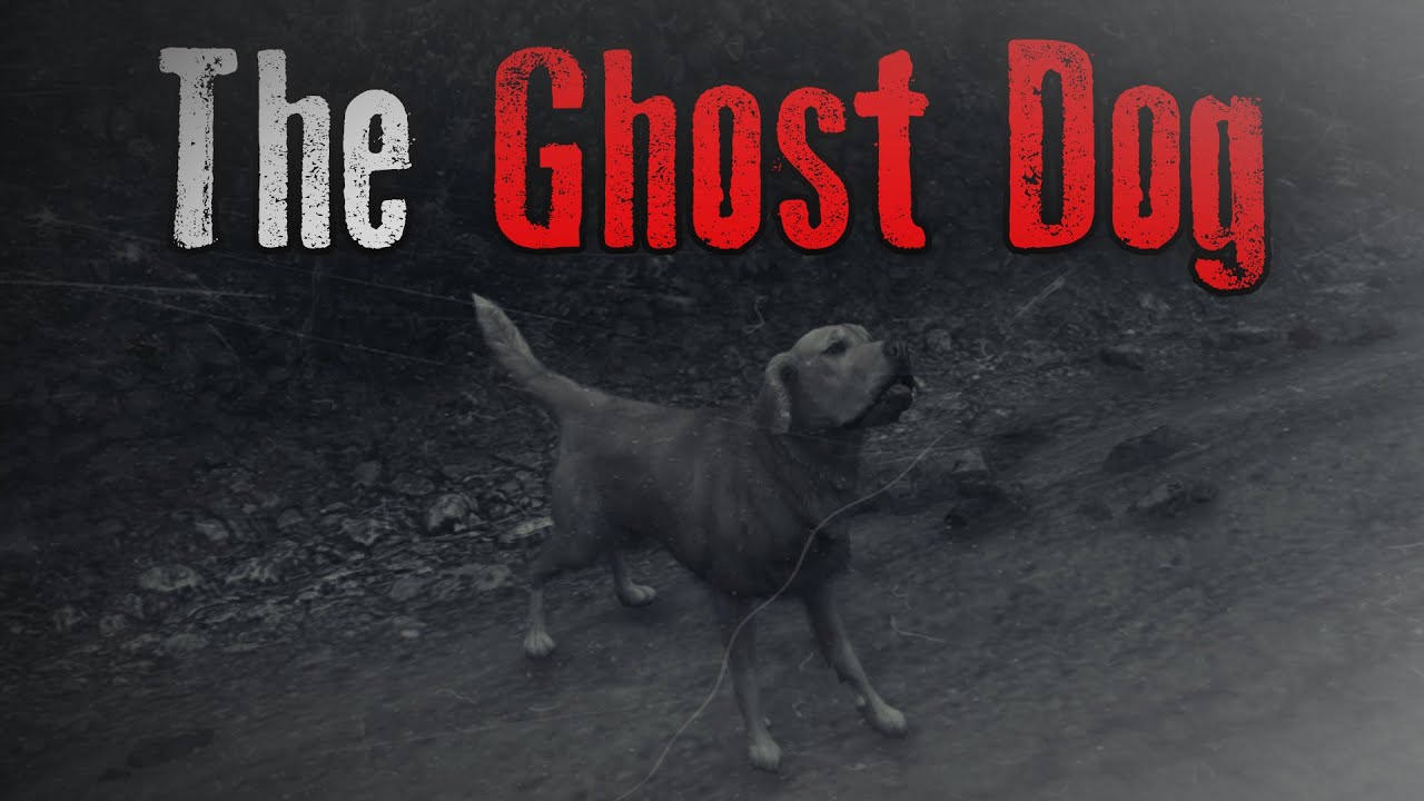 The Mystery of the Ghost Dog - Grand Theft Auto V - YouTube