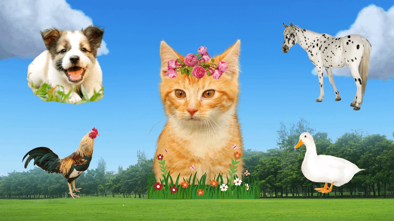 CUTE FAMILIAR ANIMALS - HORSE, CAT, DOG, CHICKEN, DUCK - ANIMAL SOUNDS ...