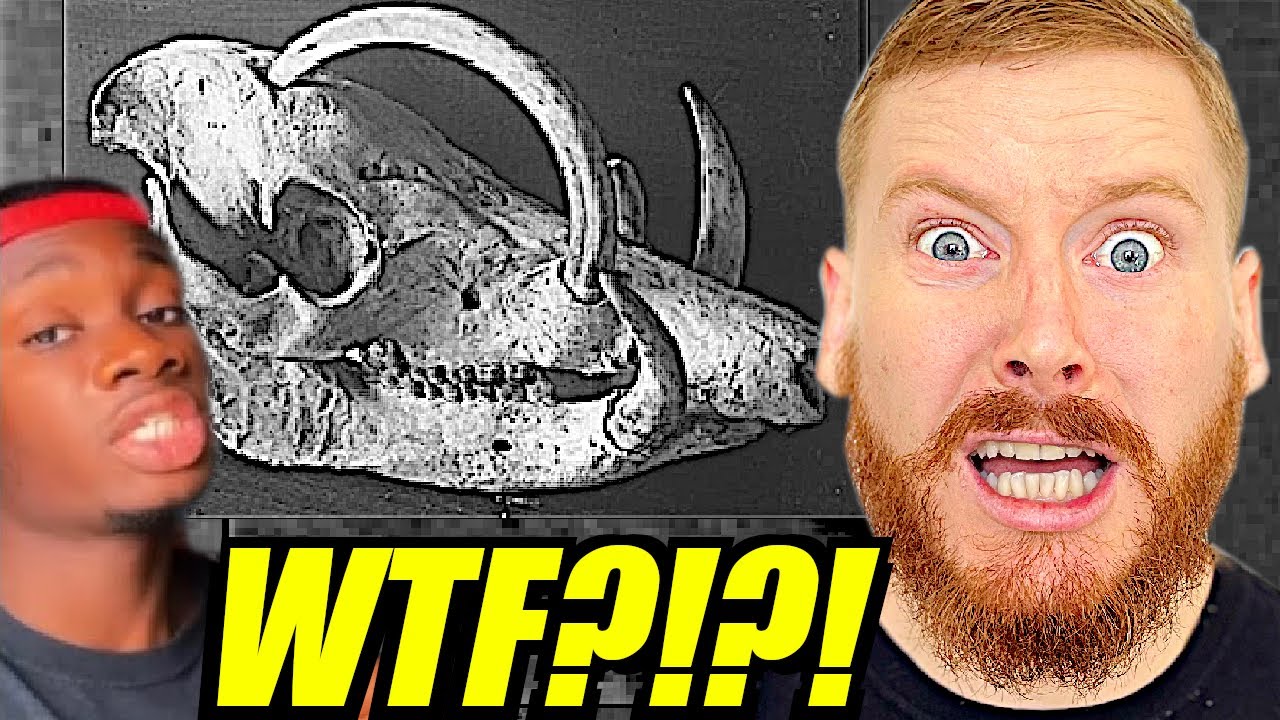 Animals that Got the Middle Finger from Evolution - YouTube