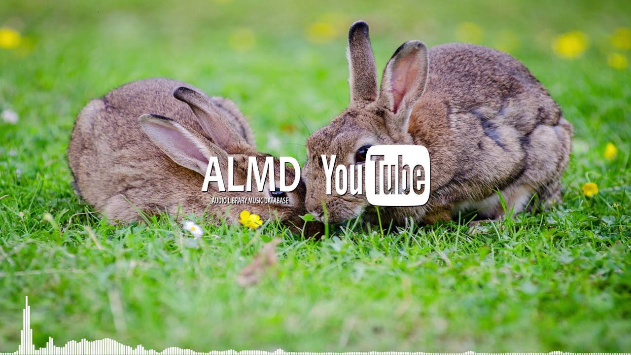 Otis McDonald – Silly Rabbit [Vlog No Copyright Music] - YouTube