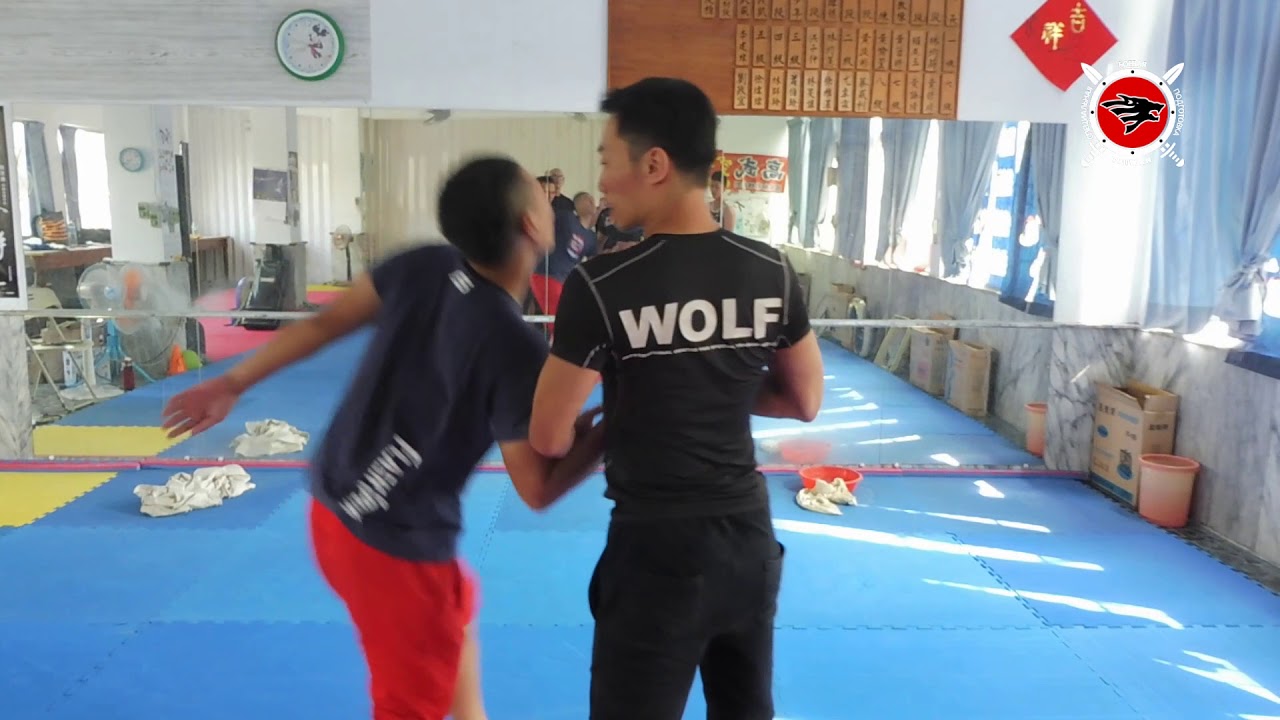 Russian Wolf Combat System Kaohsiung Special Course on Sunday afternoon ...