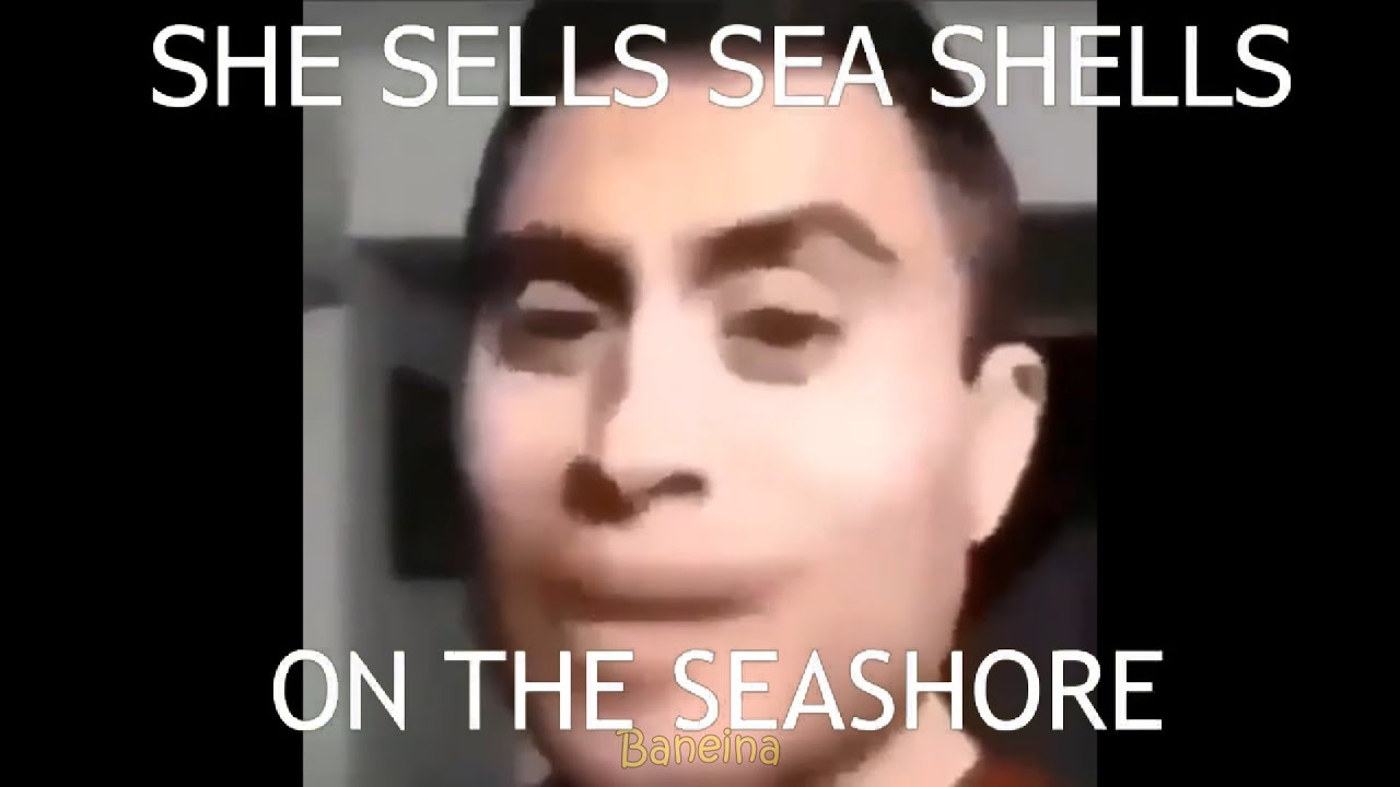 SHE SELLS SEA SHELLS MEME - YouTube